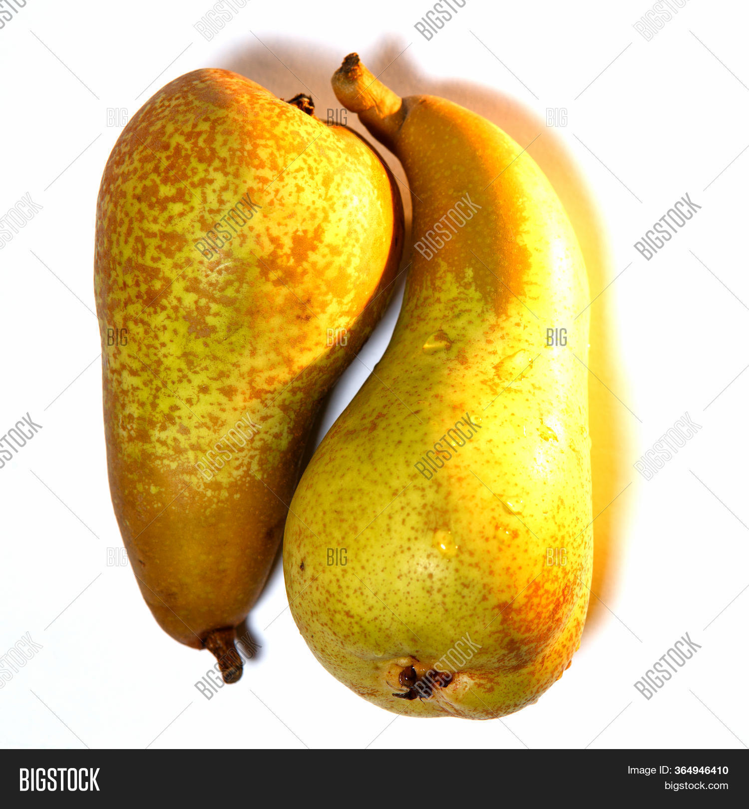 Two Conference Pears Image & Photo (Free Trial) | Bigstock