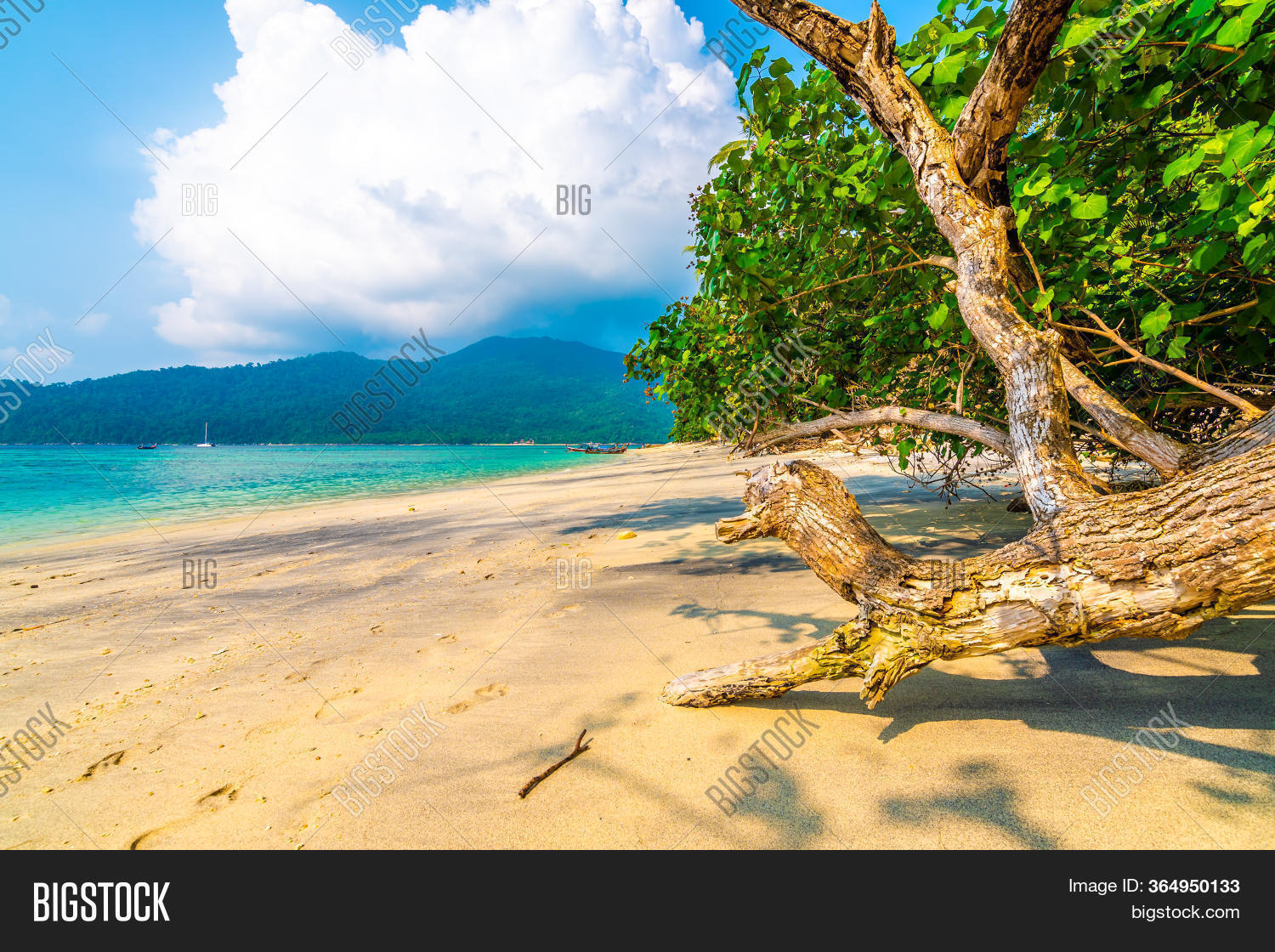 Tropical Beach Ko Lipe Image & Photo (Free Trial) | Bigstock