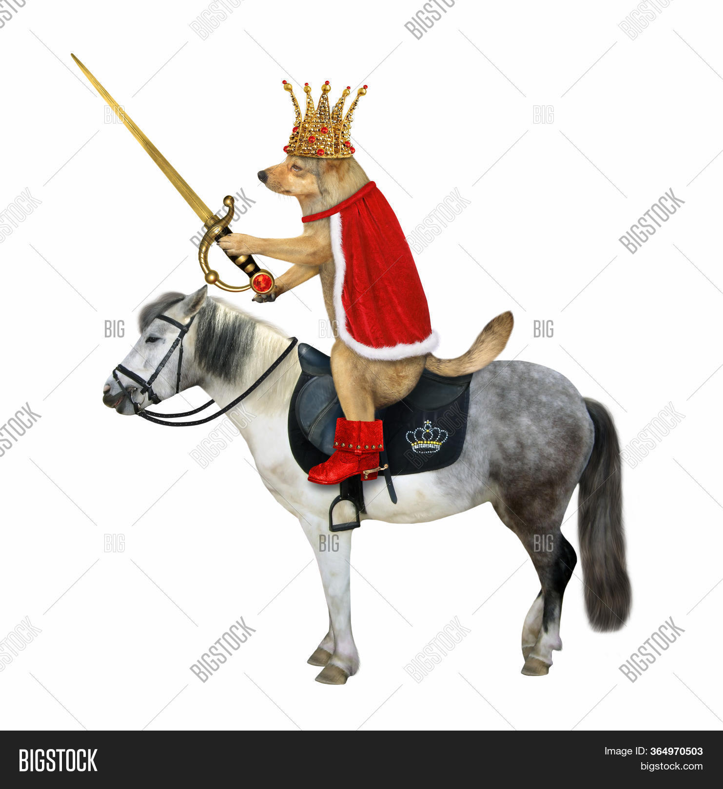 Dog King Gold Crown, Image & Photo (Free Trial) | Bigstock