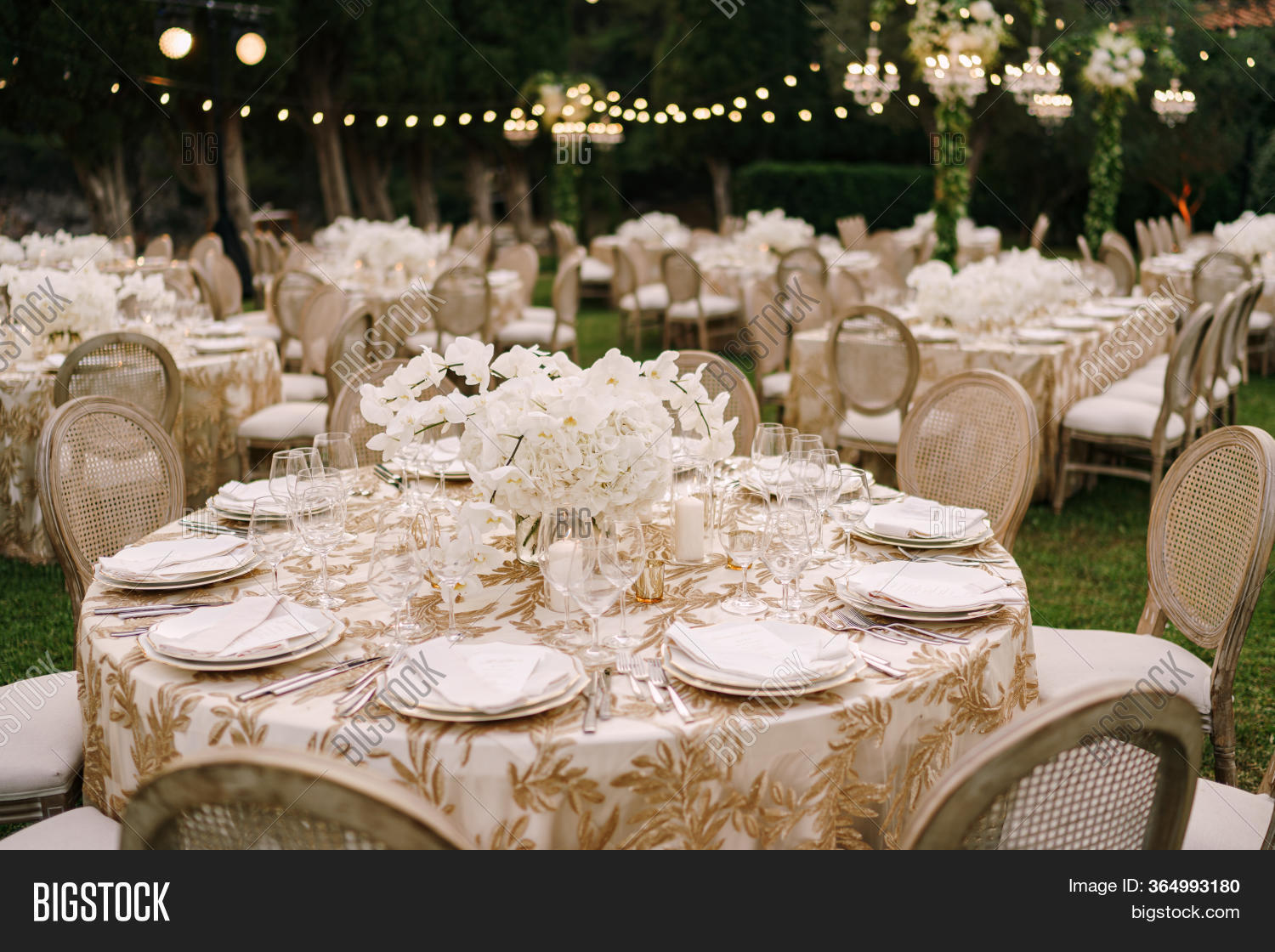 Wedding Dinner Table Image & Photo (Free Trial) | Bigstock