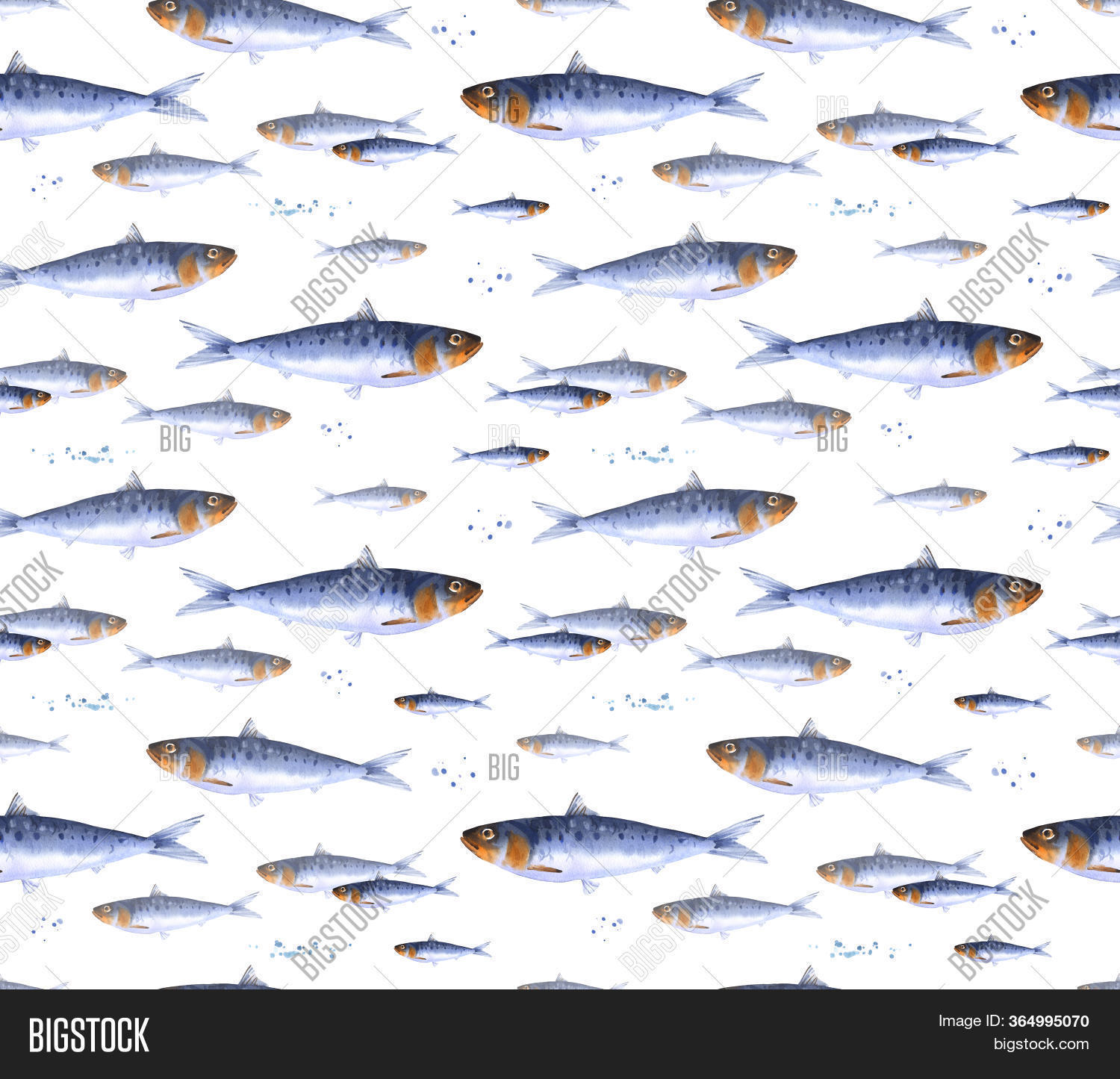 Watercolor Herring Image & Photo (Free Trial) | Bigstock