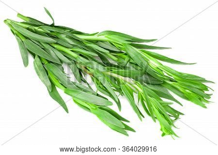 Bunch Tarragon Leaves Image & Photo (Free Trial) | Bigstock