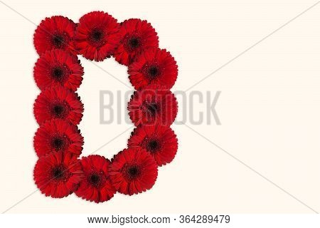 Letter D Daisy Flower Image & Photo (Free Trial) | Bigstock