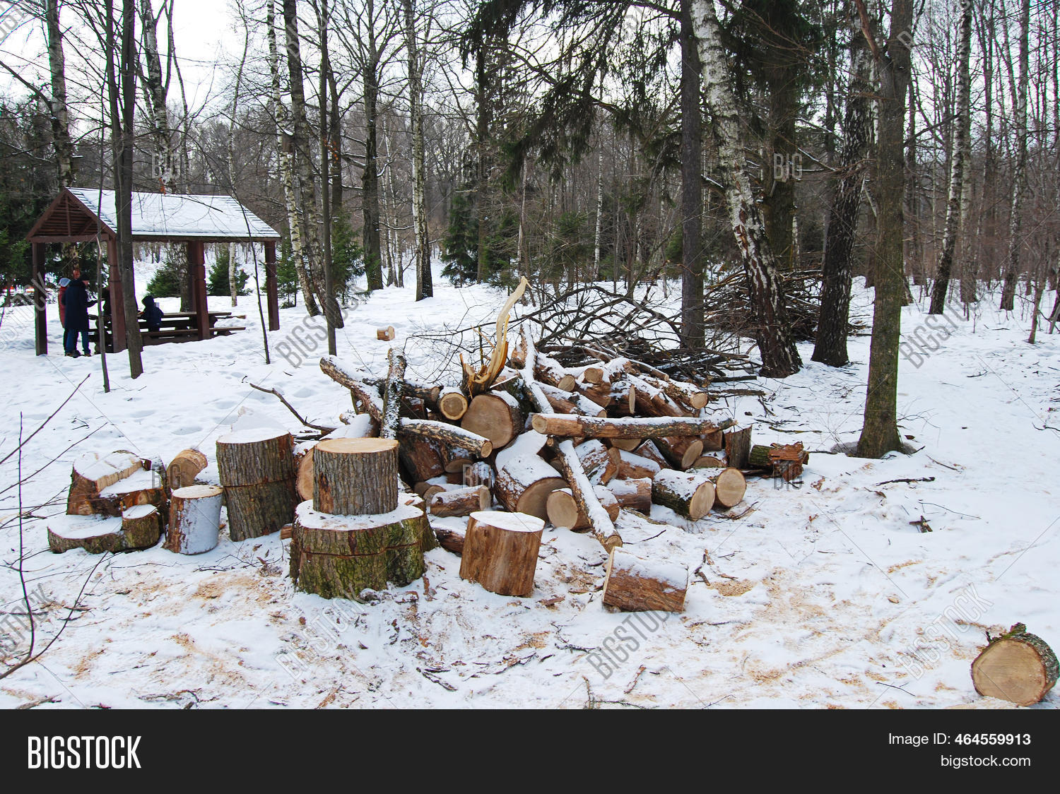 Firewood Lying On Snow Image & Photo (Free Trial) | Bigstock