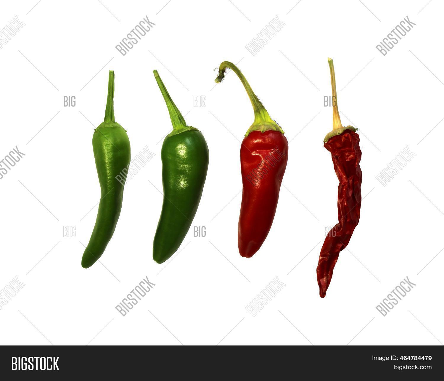 Different Stages Image & Photo (Free Trial) | Bigstock