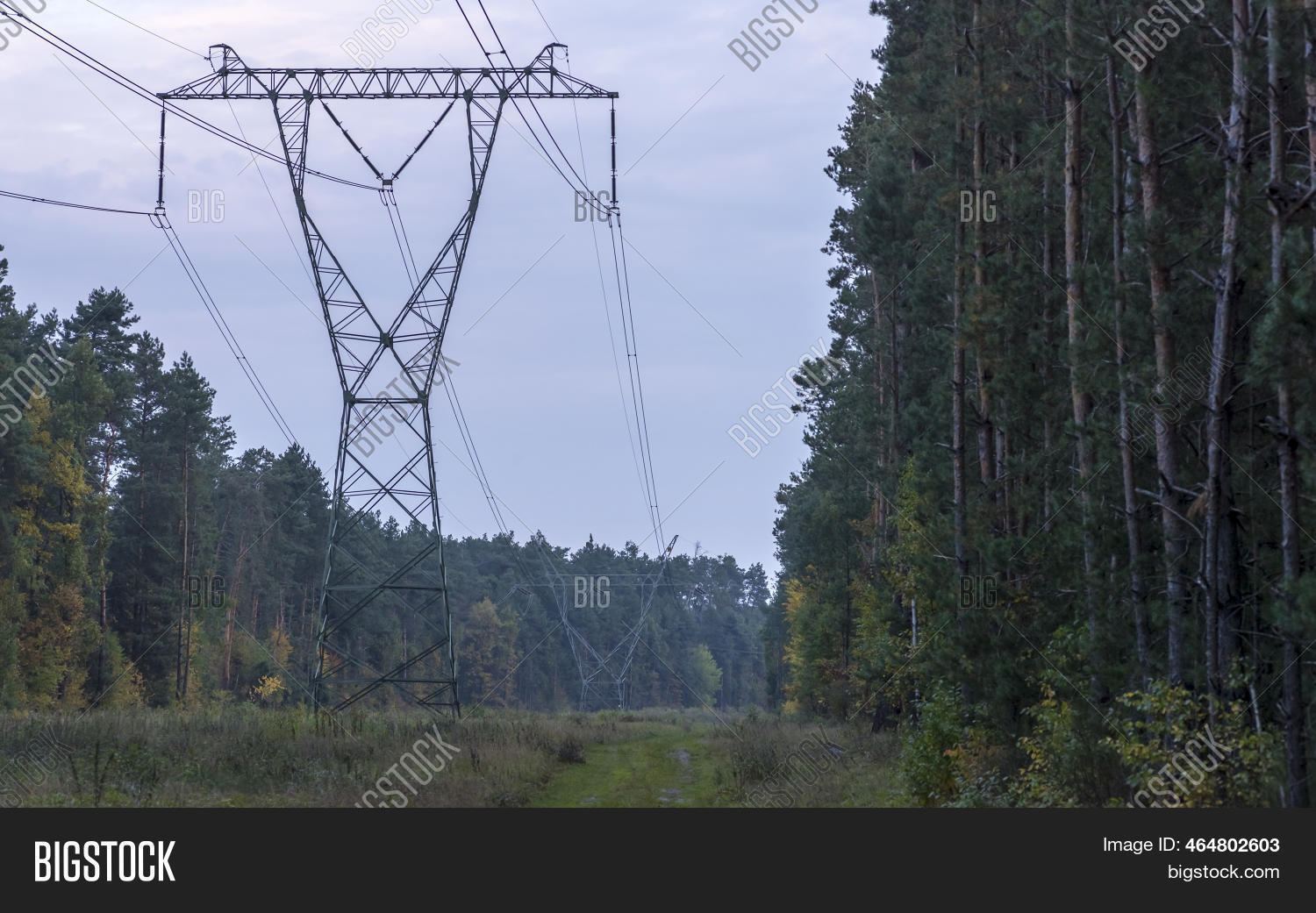 Steel Electric Poles Image & Photo (Free Trial) | Bigstock