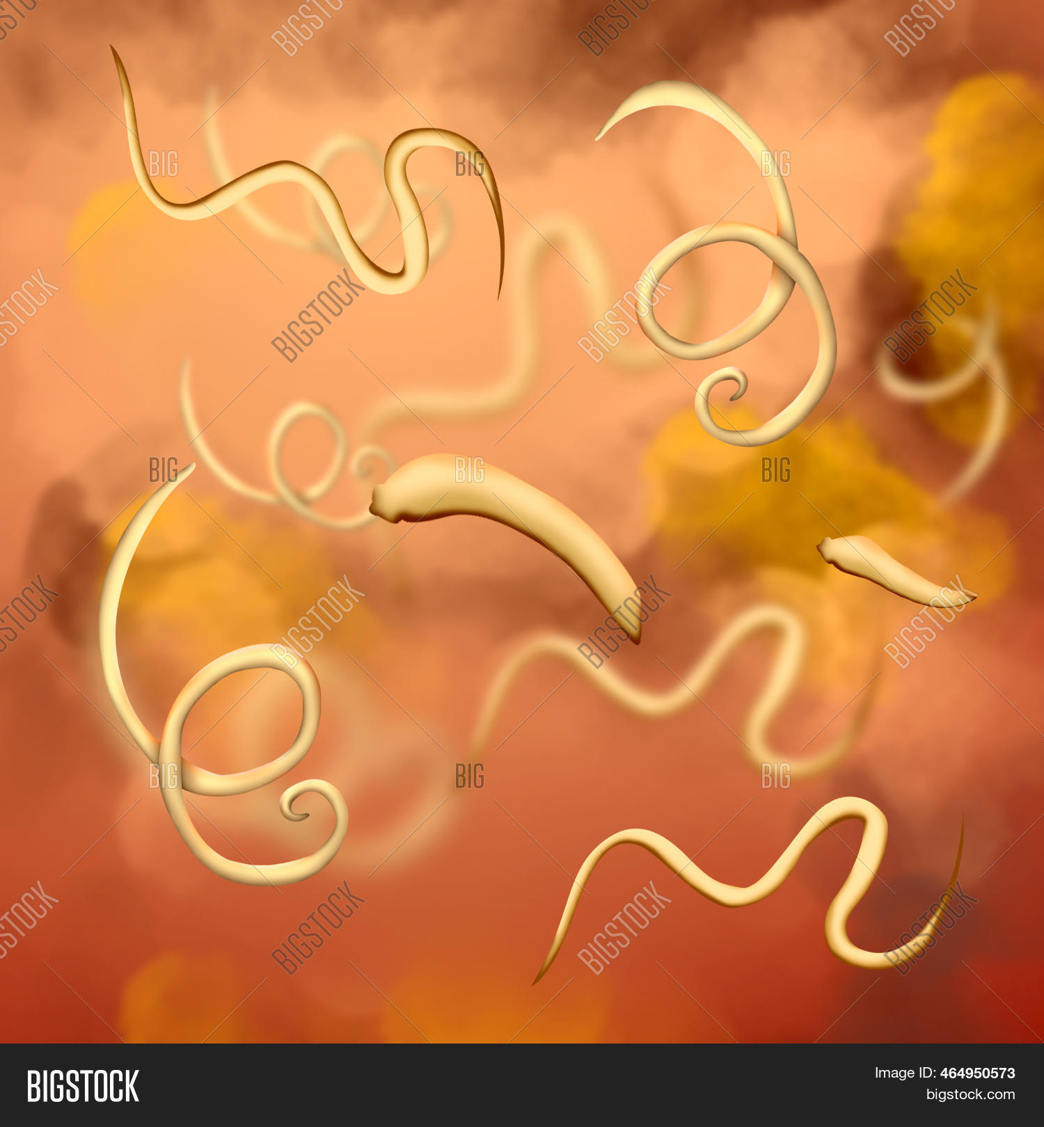 Illustration Helminths Image And Photo Free Trial Bigstock