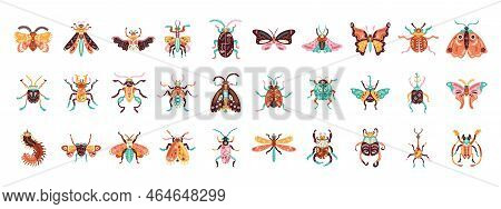 Set Different Bug Vector & Photo (Free Trial) | Bigstock