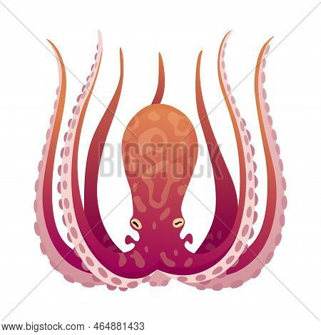 Octopus Cartoon Flat Vector & Photo (Free Trial) | Bigstock