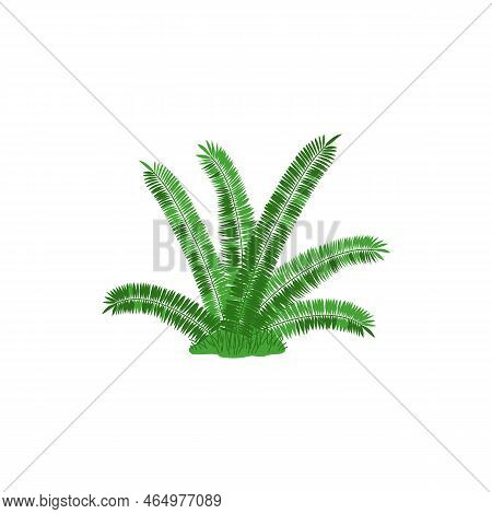 Prehistoric Ferns Images, Illustrations & Vectors (Free) - Bigstock