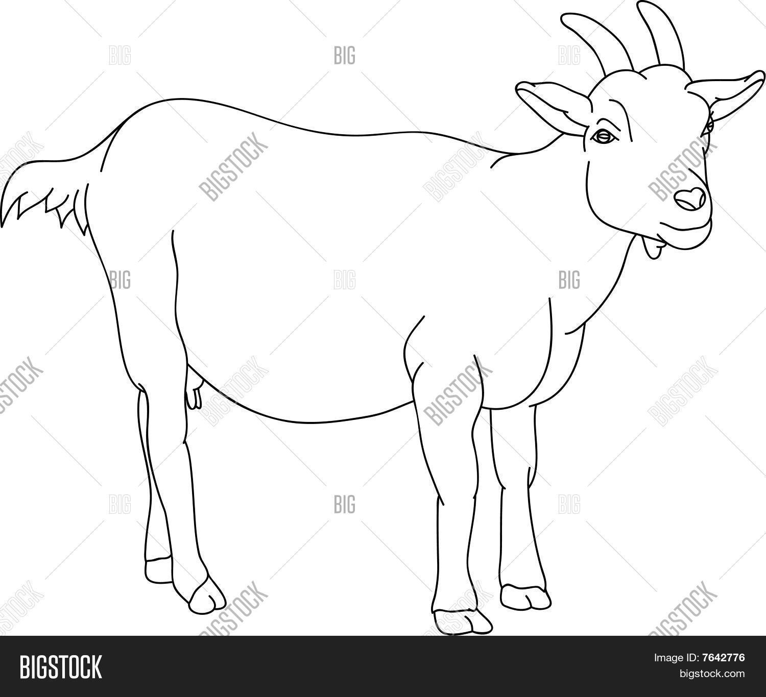 Koza Vector & Photo (Free Trial) | Bigstock