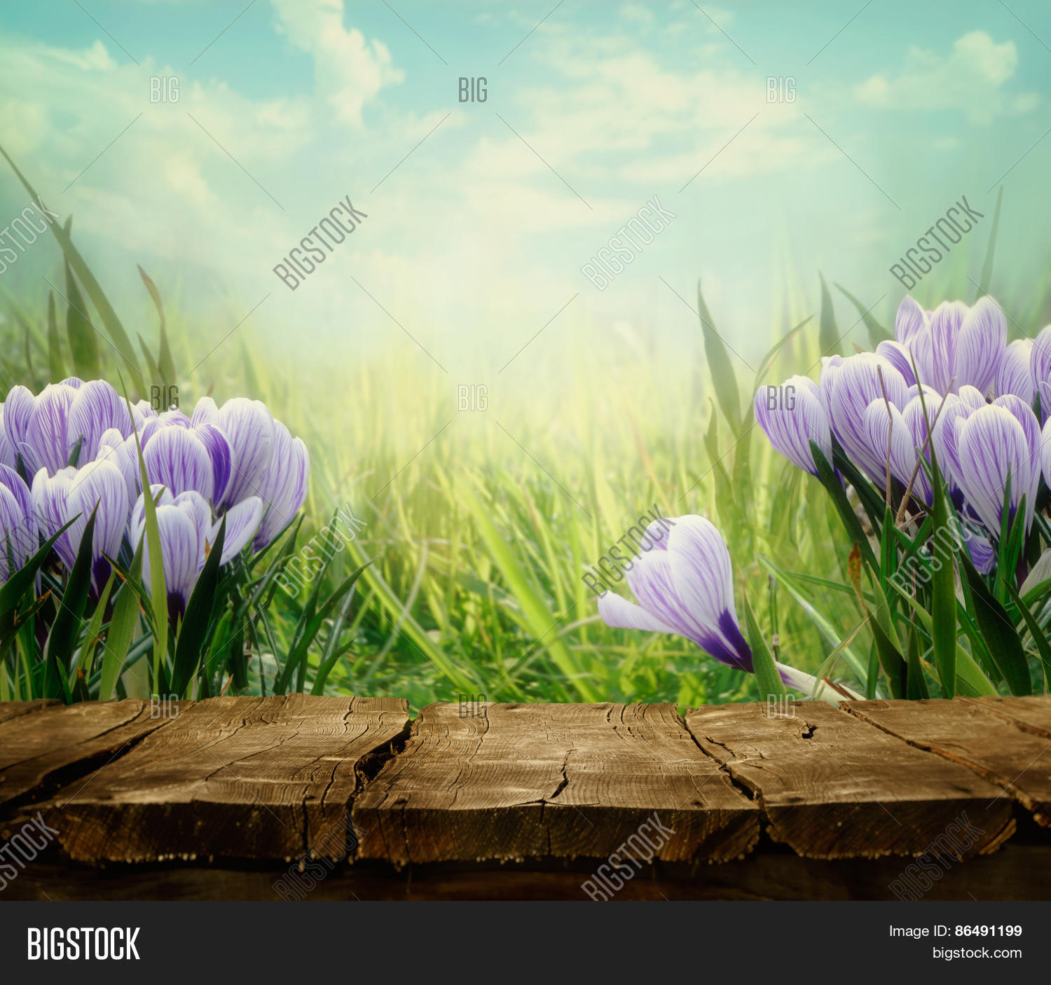 Spring Background Image & Photo (Free Trial) | Bigstock