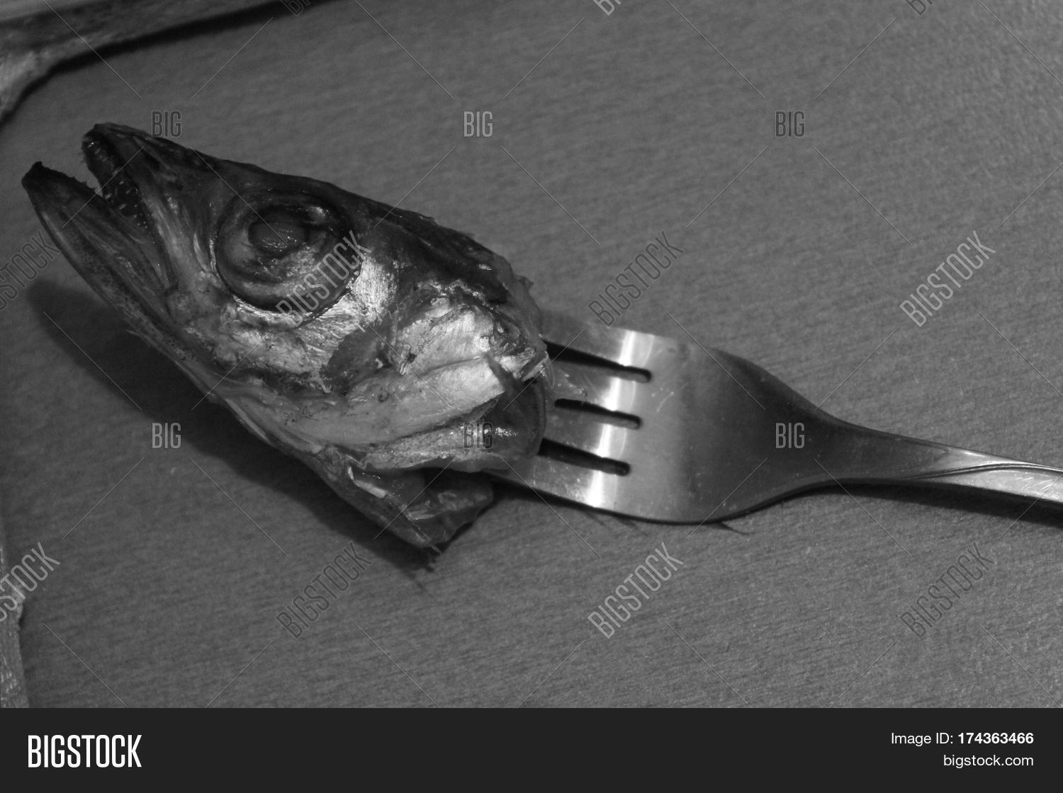 Cut Head Marine Fish Image & Photo (Free Trial) | Bigstock