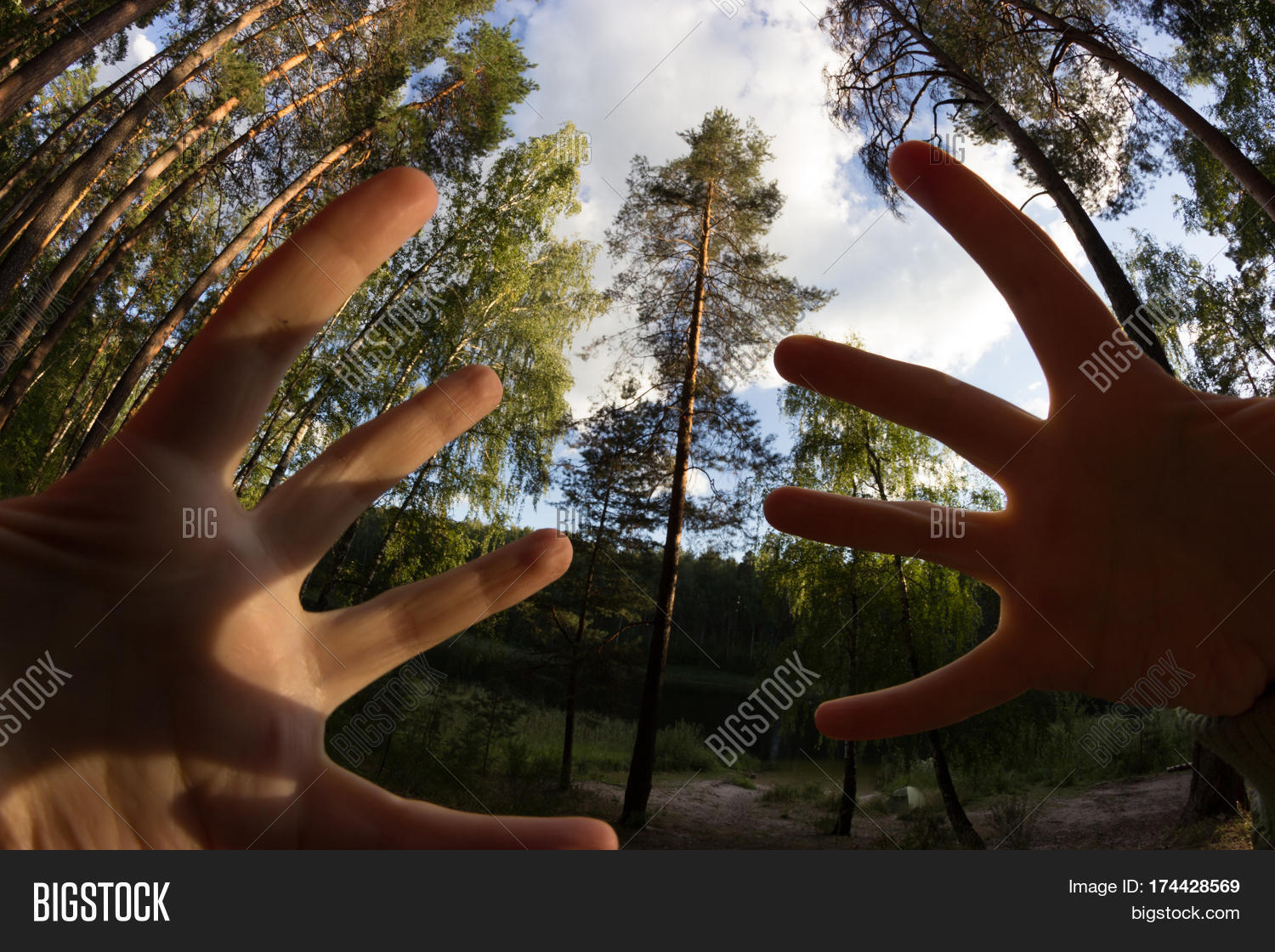 Human Hand Front Image & Photo (Free Trial) | Bigstock