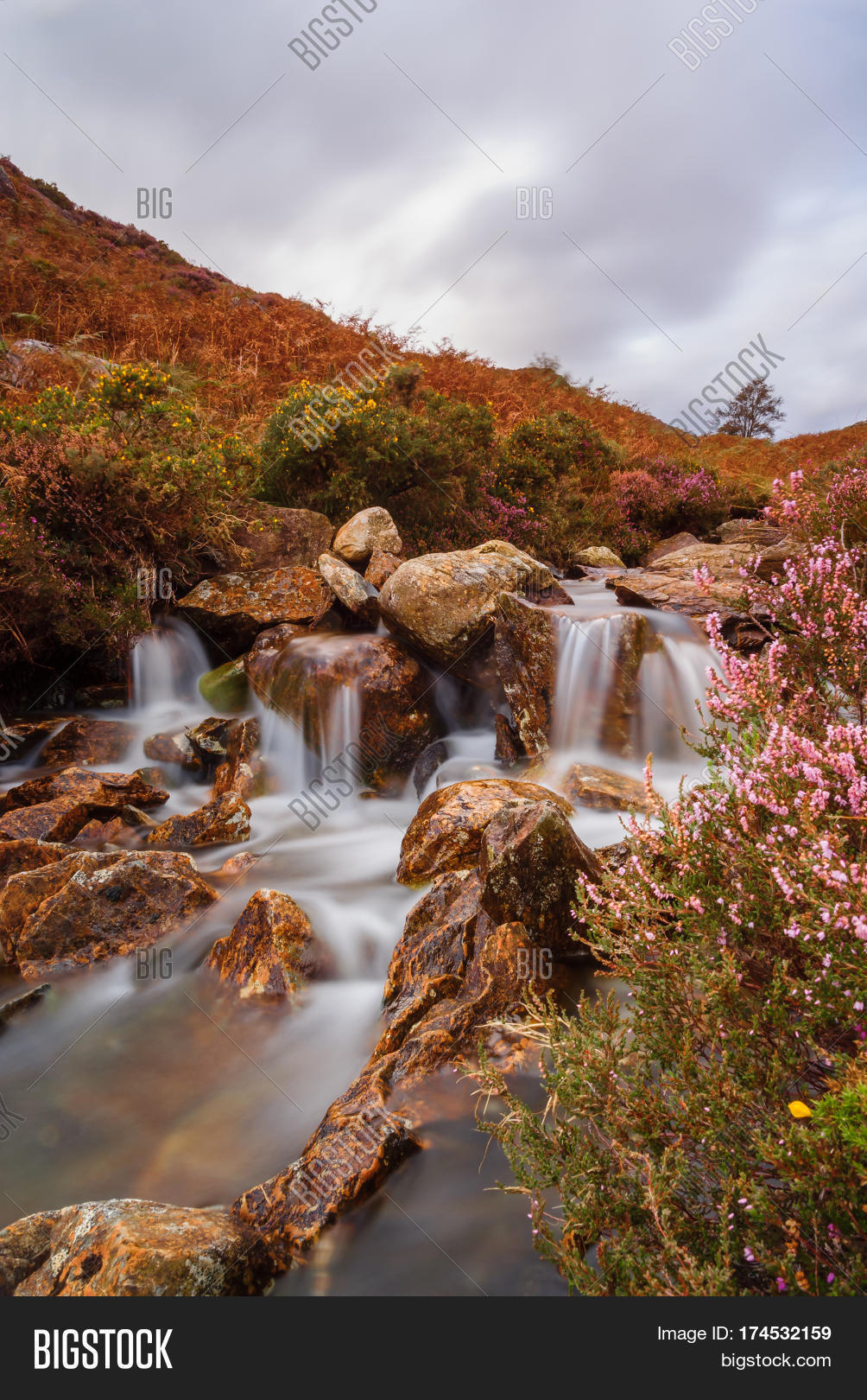 Small Mountain Stream Image & Photo (Free Trial) | Bigstock