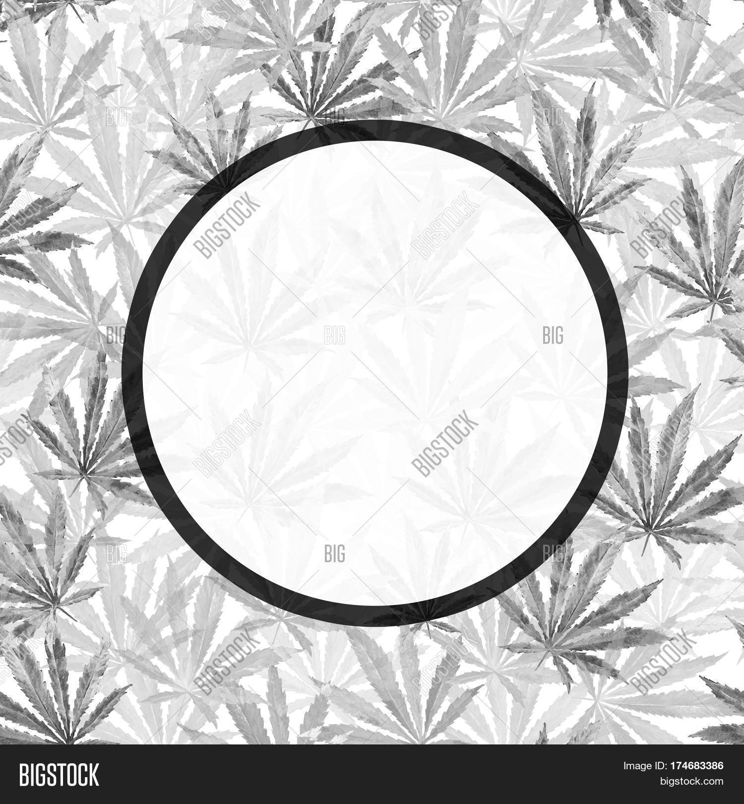 Gray Cannabis Leaves Image & Photo (Free Trial) | Bigstock