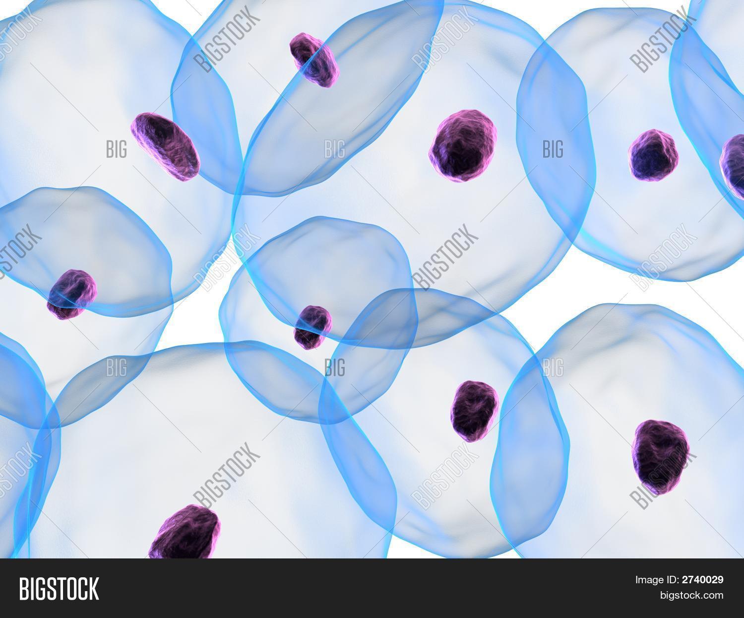 3D Cells Image & Photo (Free Trial) | Bigstock