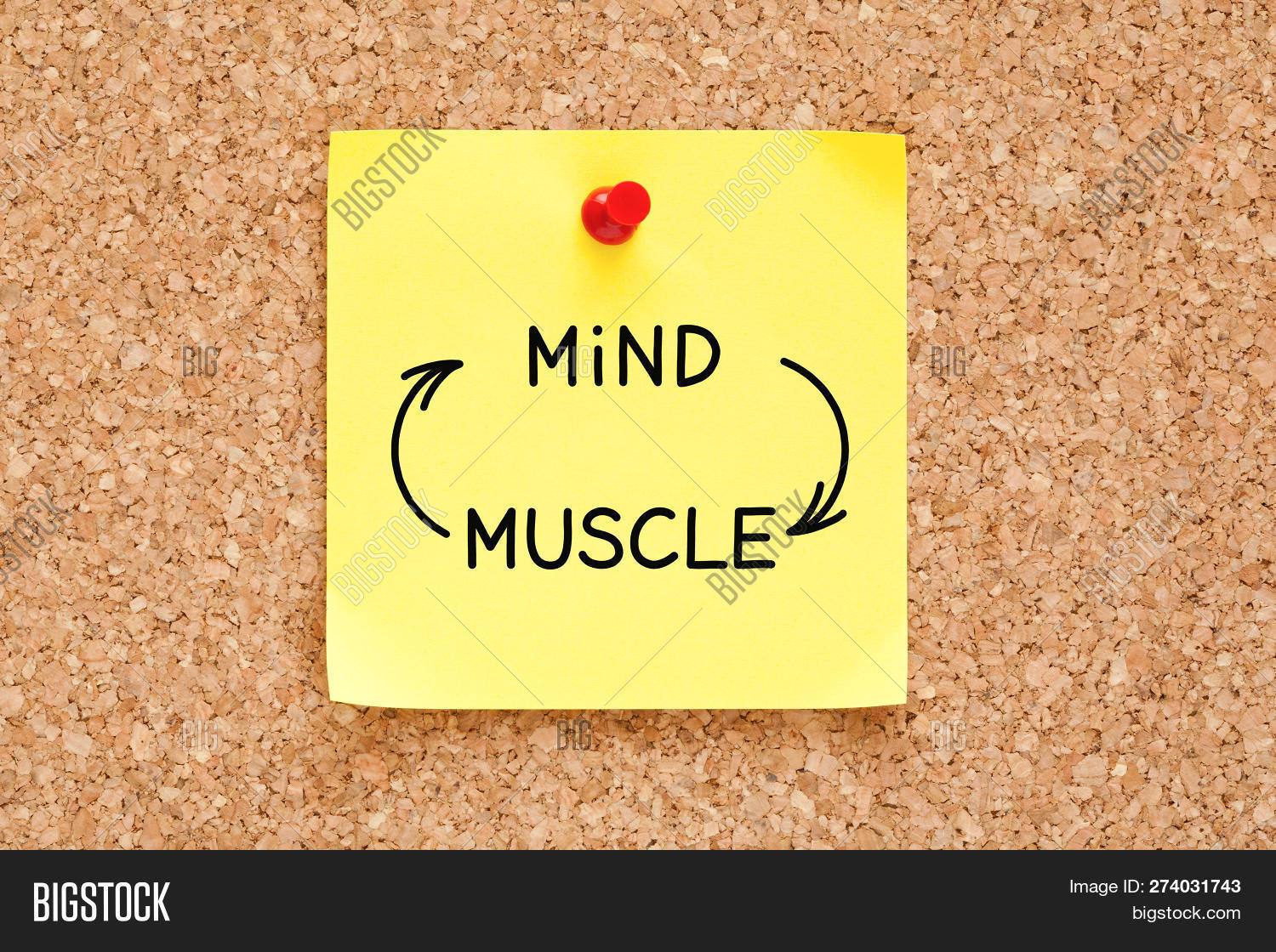 Mind-muscle Connection Image & Photo (Free Trial) | Bigstock