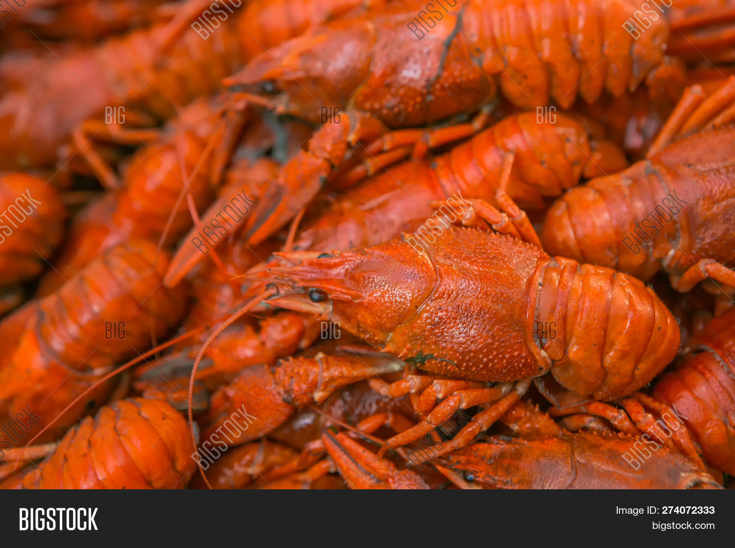 Boiled Big Crawfish. Image & Photo (Free Trial) | Bigstock