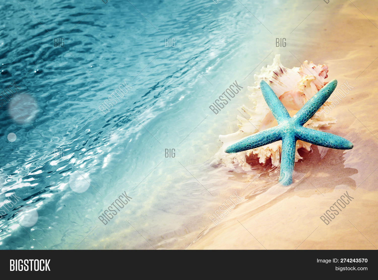 Starfish On Summer Image & Photo (Free Trial) | Bigstock