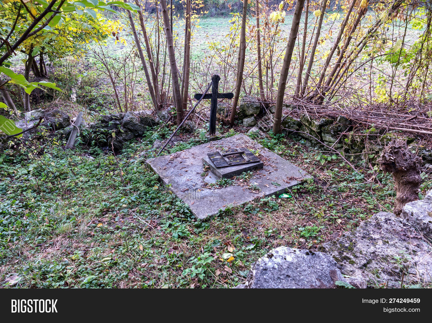 Holy Spring Living Image & Photo (Free Trial) | Bigstock