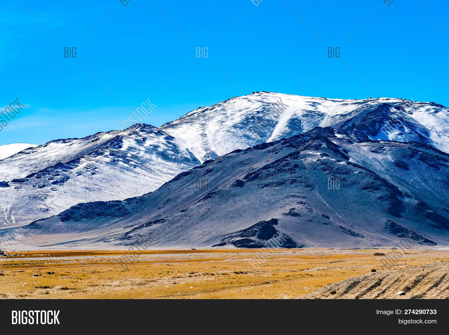 Mongolian Steppe Winter