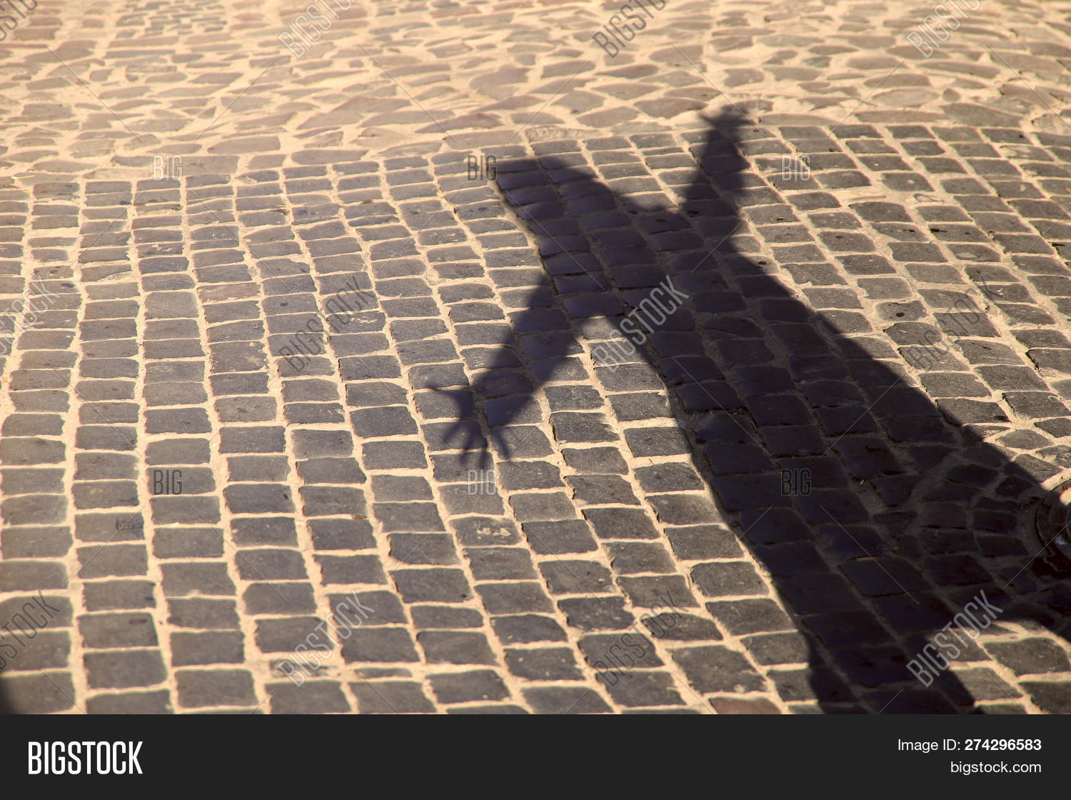 Strange Shadow Woman Image & Photo (Free Trial) | Bigstock