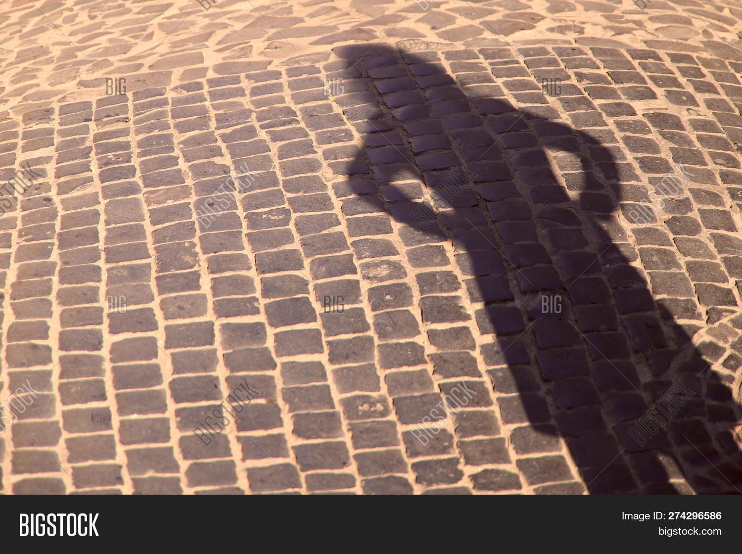 Strange Shadow Woman Image & Photo (Free Trial) | Bigstock