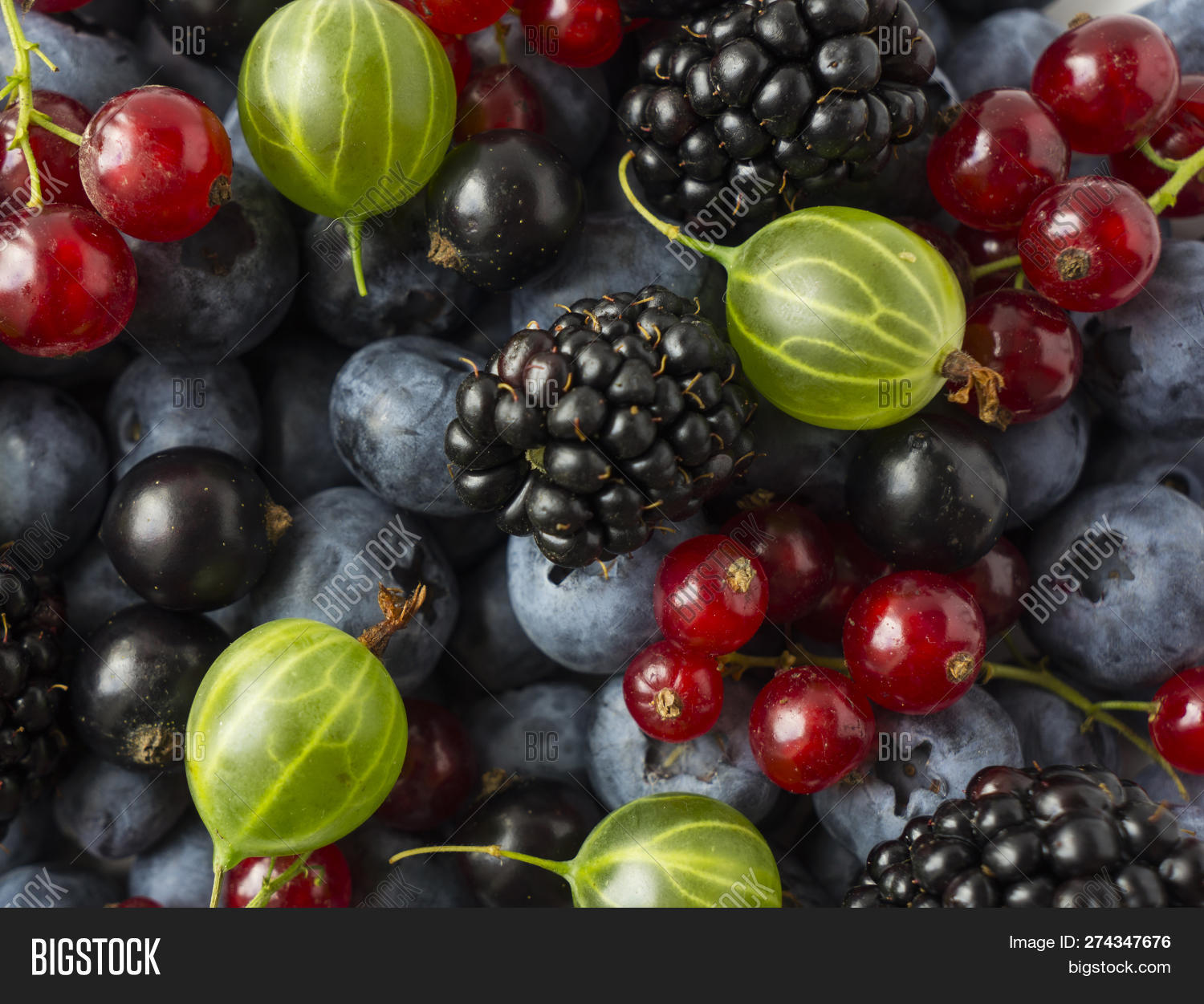 Mix Berries Fruits. Image & Photo (Free Trial) | Bigstock