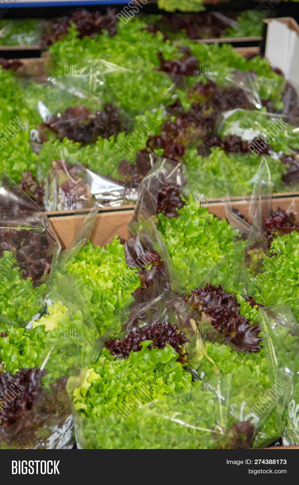 Cold Storage Fresh Image & Photo (Free Trial) | Bigstock