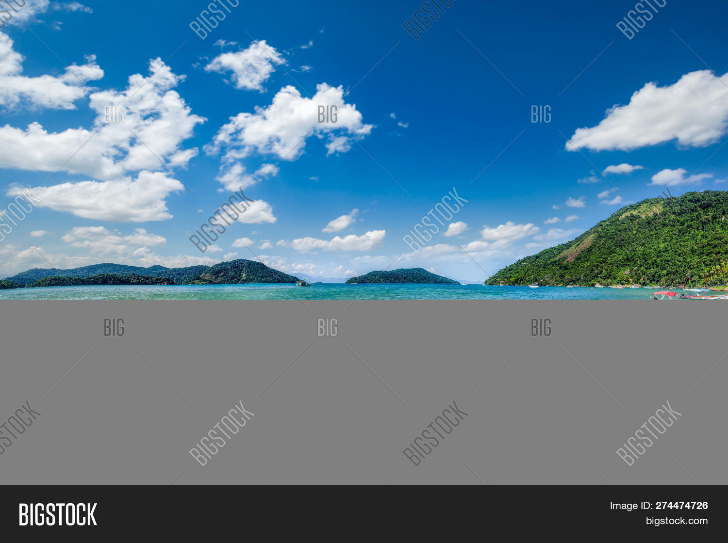 View Beach, Sea Forest Image & Photo (Free Trial) | Bigstock