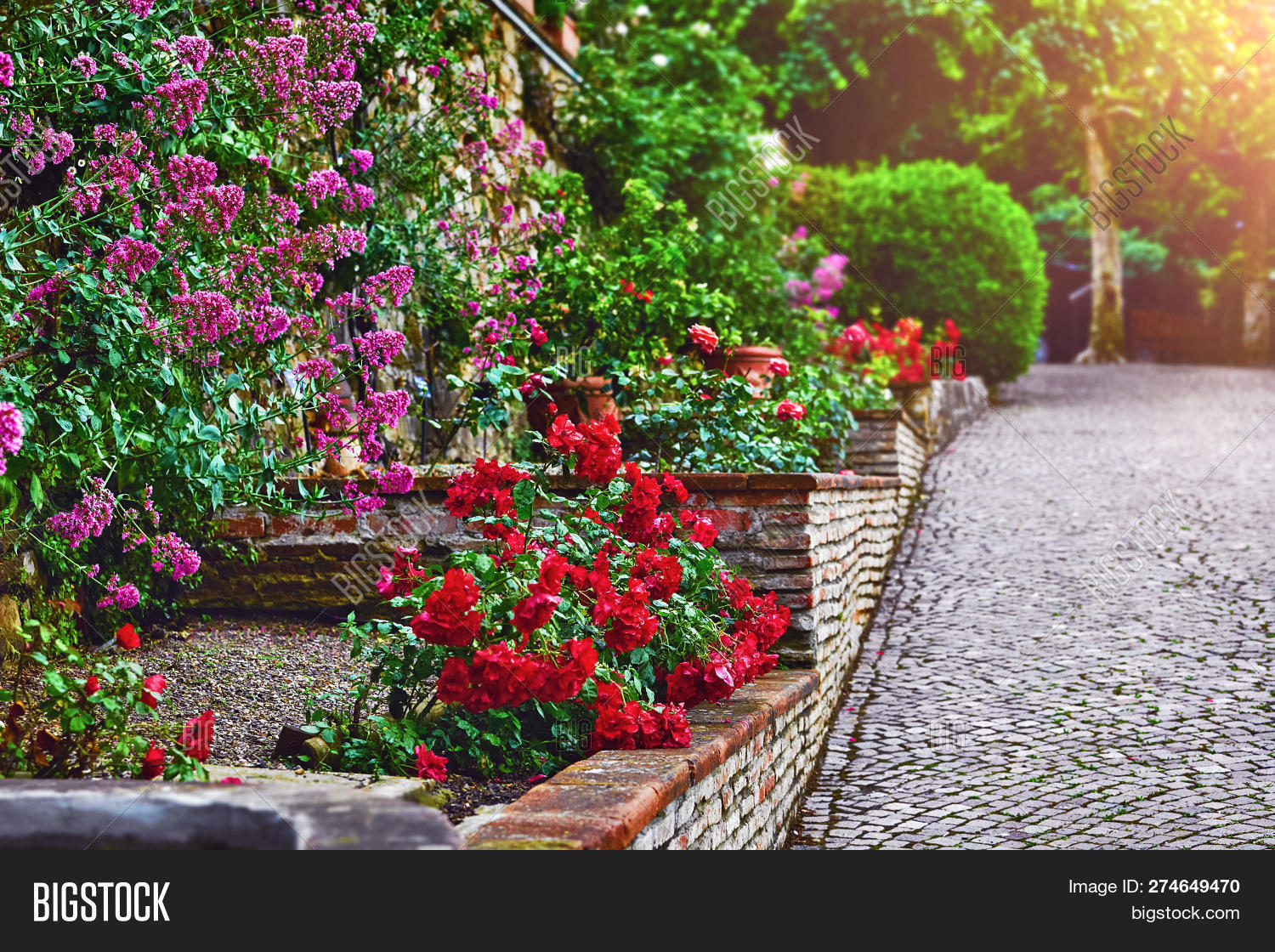 Landscape Design Red Image & Photo (Free Trial) | Bigstock