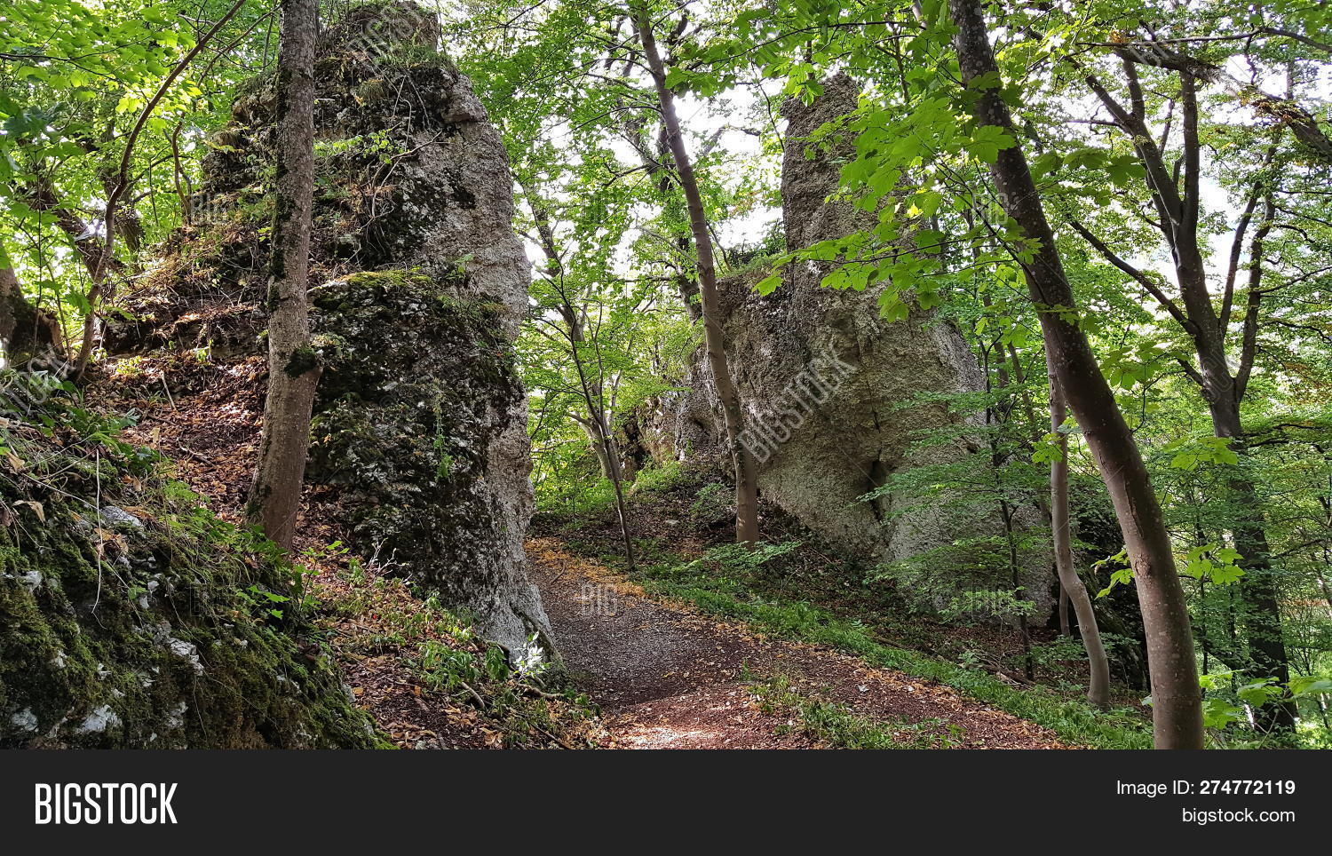 Albstadt City Germany Image & Photo (Free Trial) | Bigstock