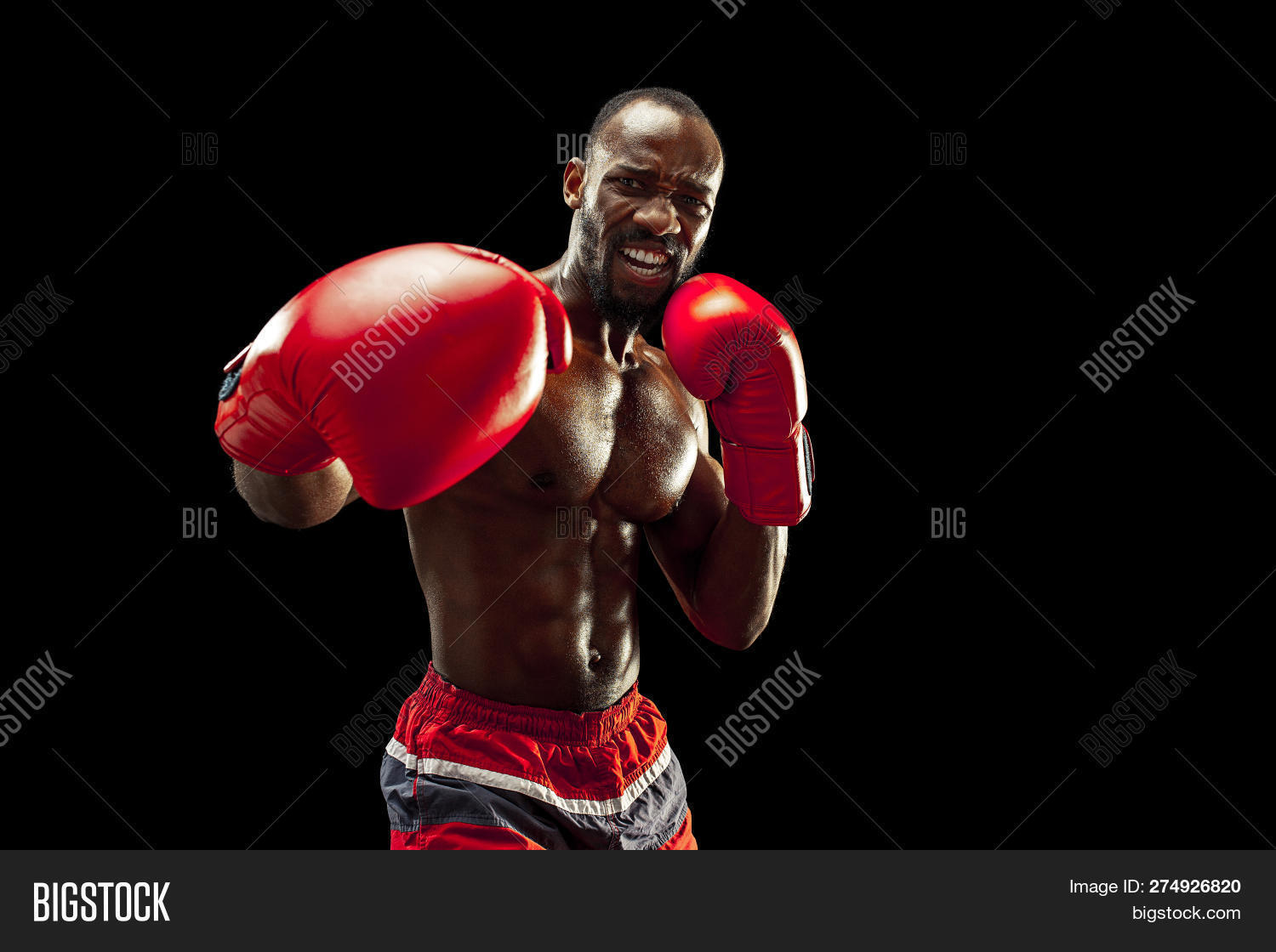 Hands Boxer Over Black Image & Photo (Free Trial) | Bigstock