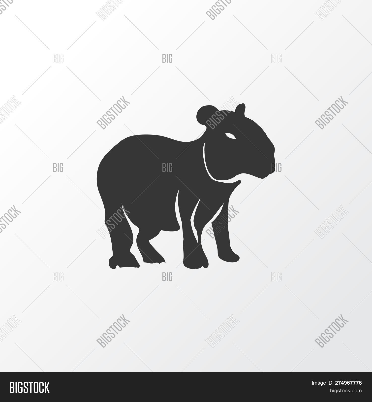 Capybara Icon Symbol. Image & Photo (Free Trial) | Bigstock