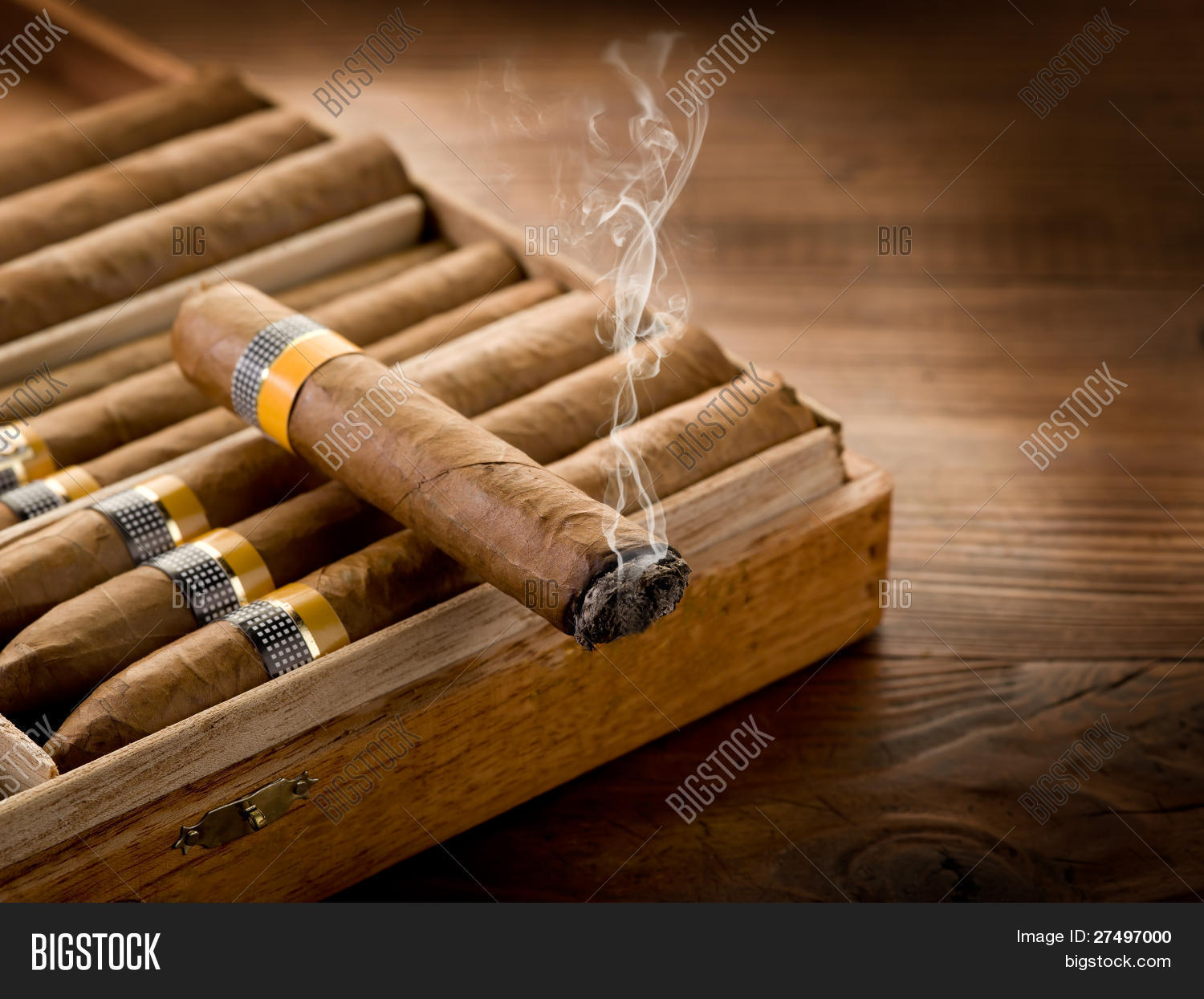 Smoking Cuban Cigar Image & Photo (Free Trial) | Bigstock