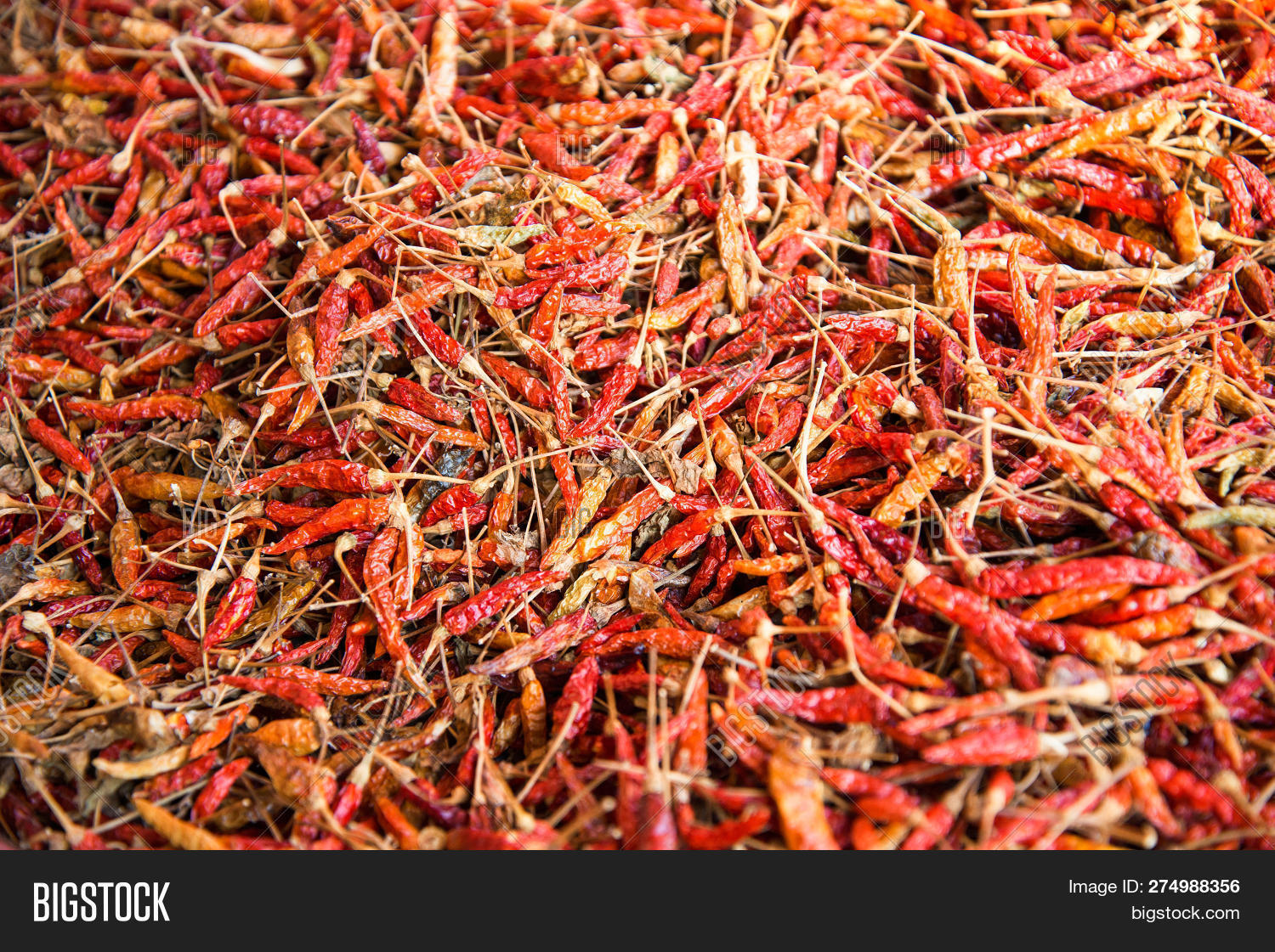 Dry Hot Chillis Image & Photo (Free Trial) | Bigstock