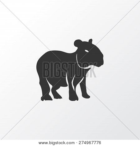 Capybara Icon Symbol. Image & Photo (Free Trial) | Bigstock