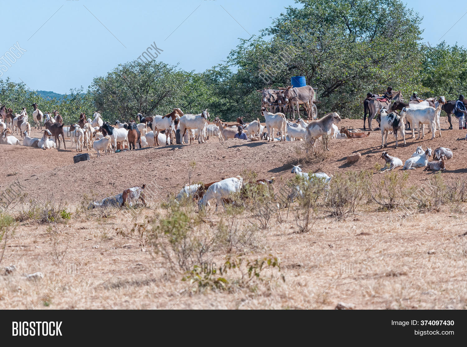 Opuwo, Namibia - May Image & Photo (Free Trial) | Bigstock