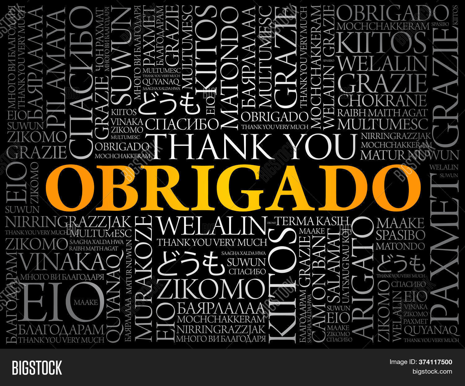 Obrigado (thank You Image & Photo (Free Trial) | Bigstock