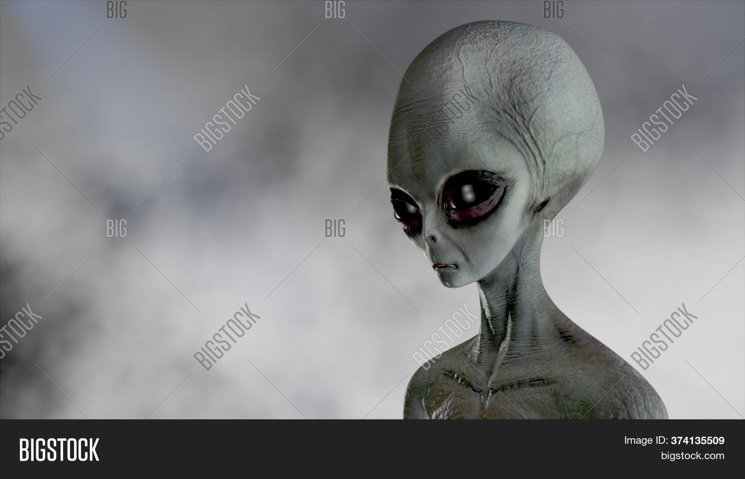 Scary Gray Alien Walks Image & Photo (Free Trial) | Bigstock