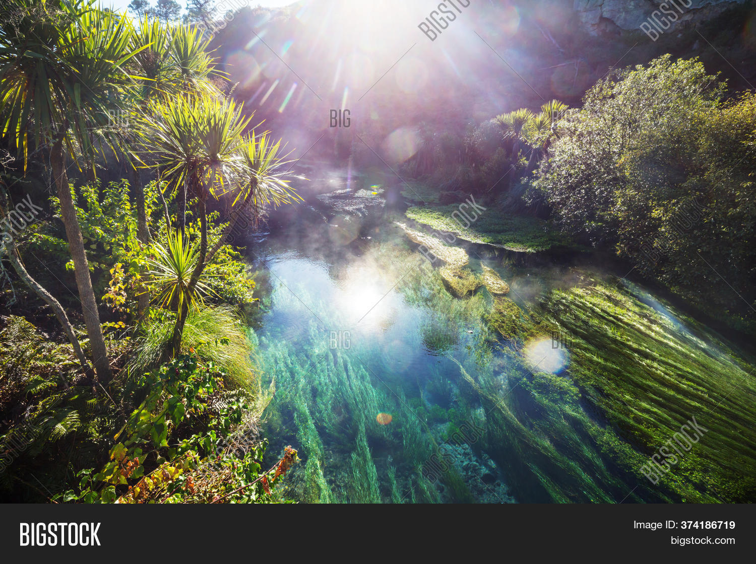 Unusual Blue Spring Image & Photo (Free Trial) | Bigstock