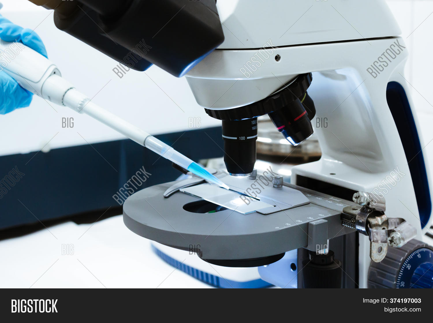 Scientist Hands Drop Image & Photo (Free Trial) | Bigstock