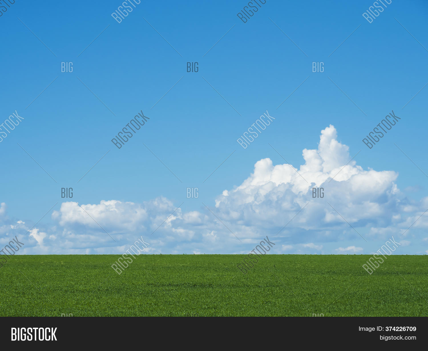 Green Field Flat Image & Photo (Free Trial) | Bigstock