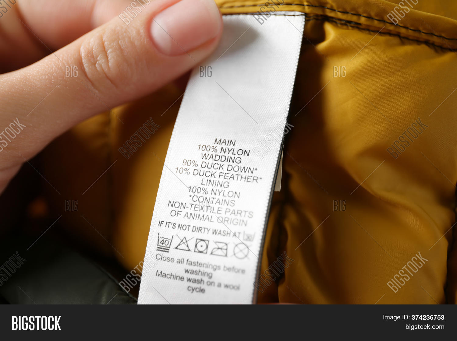 Woman Reading Clothing Image & Photo (Free Trial) | Bigstock