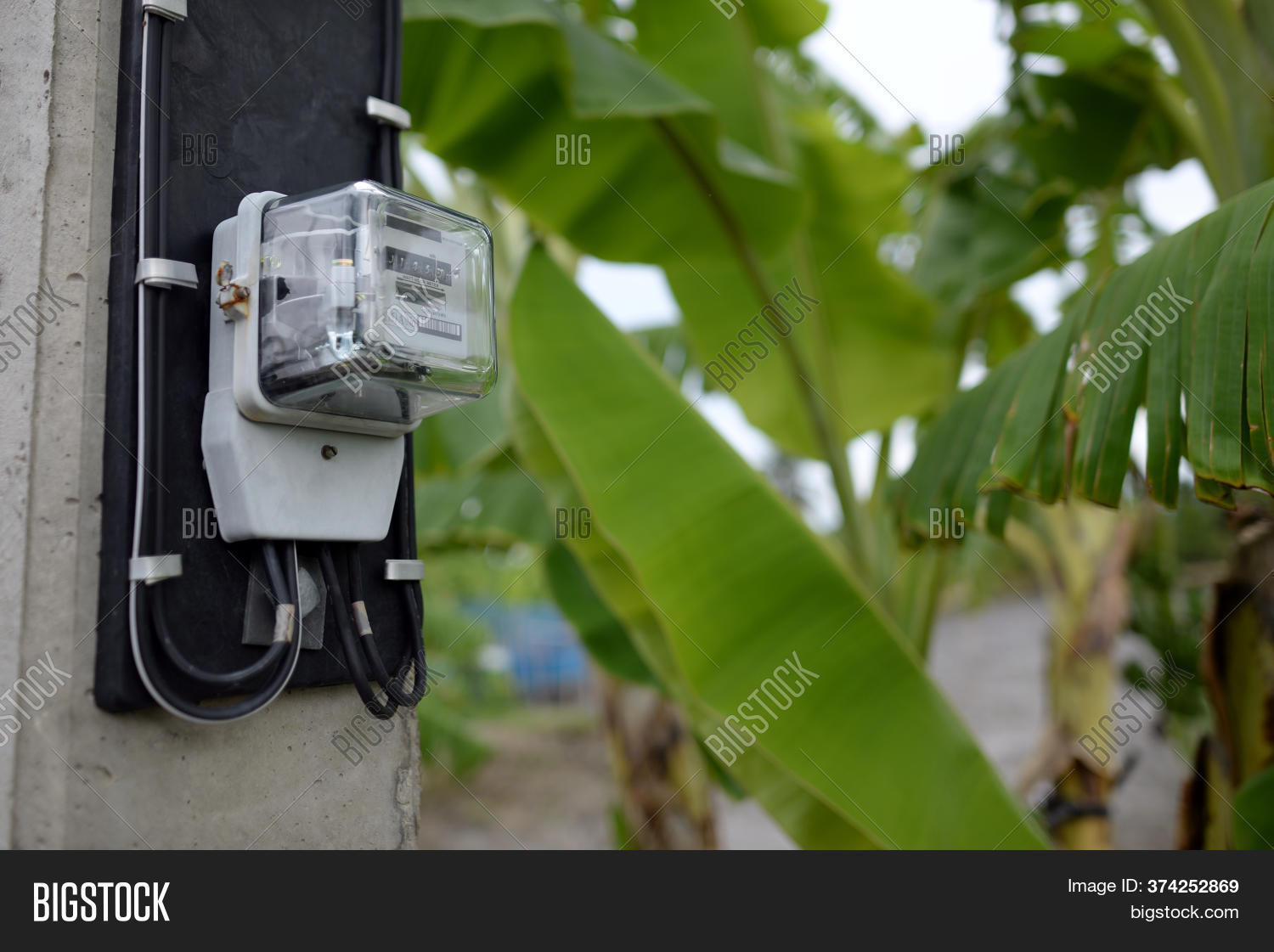 Close- Electric Meter Image & Photo (Free Trial) | Bigstock