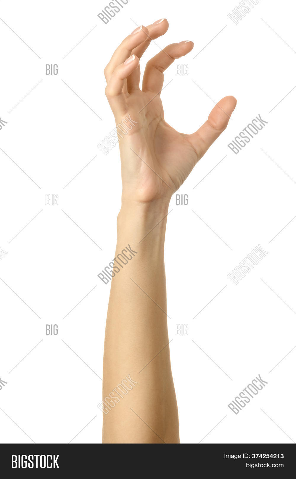 Pulling, Grabbing, Image & Photo (Free Trial) | Bigstock