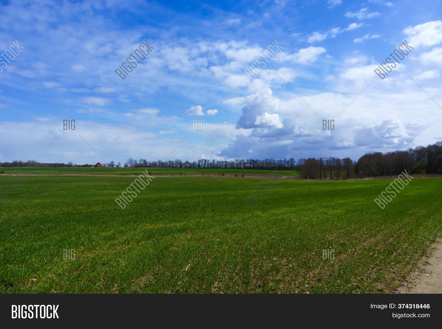 Cultivated Field, Image & Photo (Free Trial) | Bigstock
