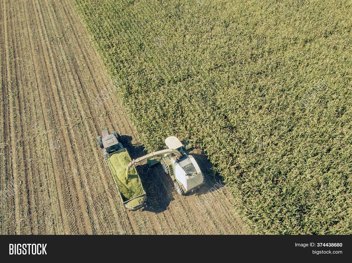 Agriculture Cutting Image & Photo (Free Trial) | Bigstock