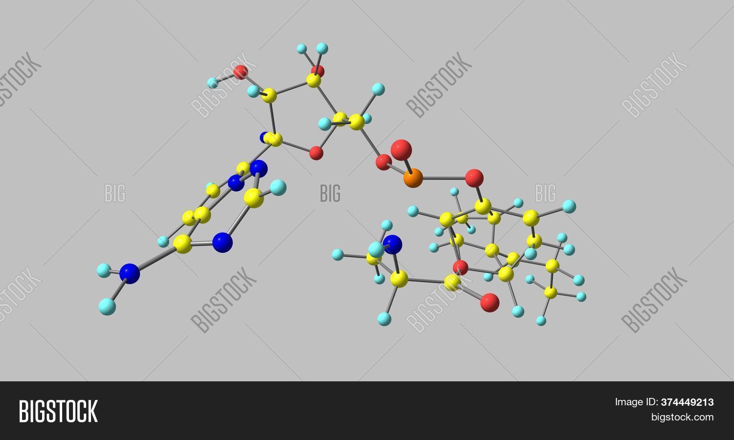 Tannic Acid Specific Image & Photo (Free Trial) | Bigstock